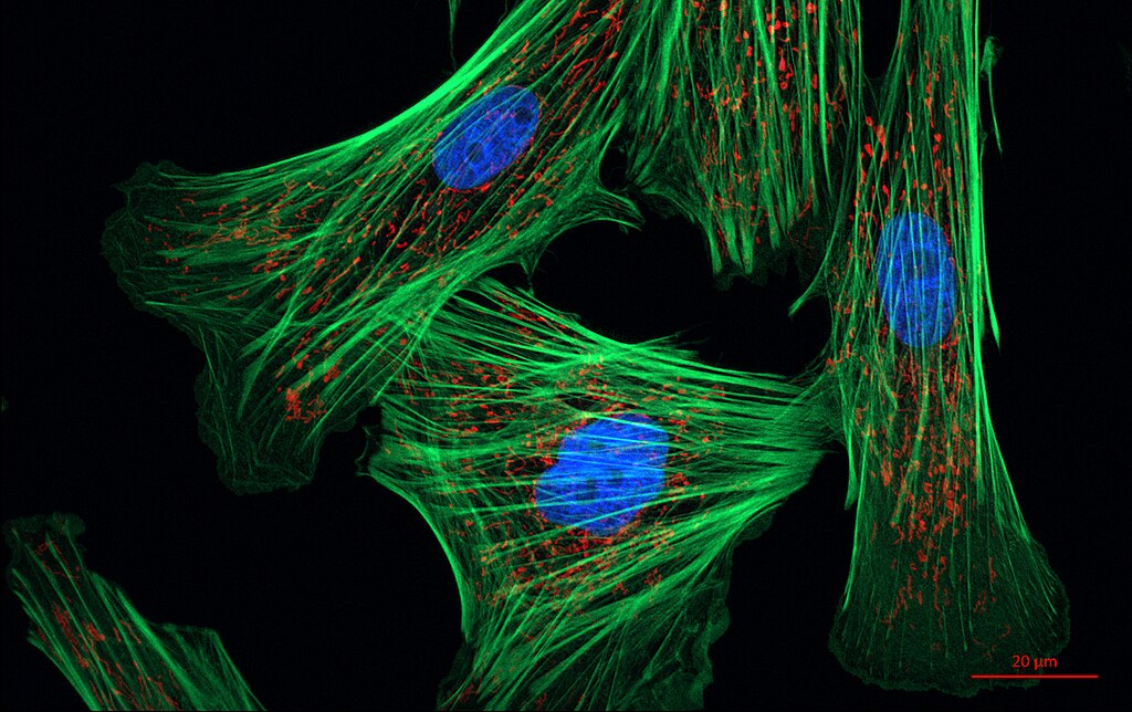 BIOL231-010-016-202620 Meta Course | Home